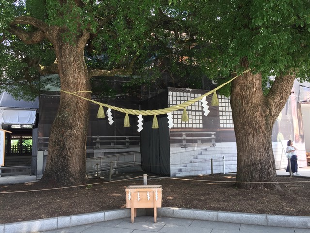 The Marriage Trees in Shibuya, Tokyo - Holiday Goddess